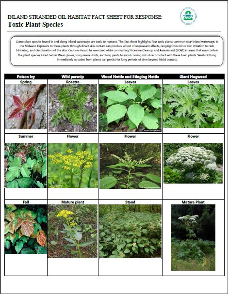 Toxic Plants
